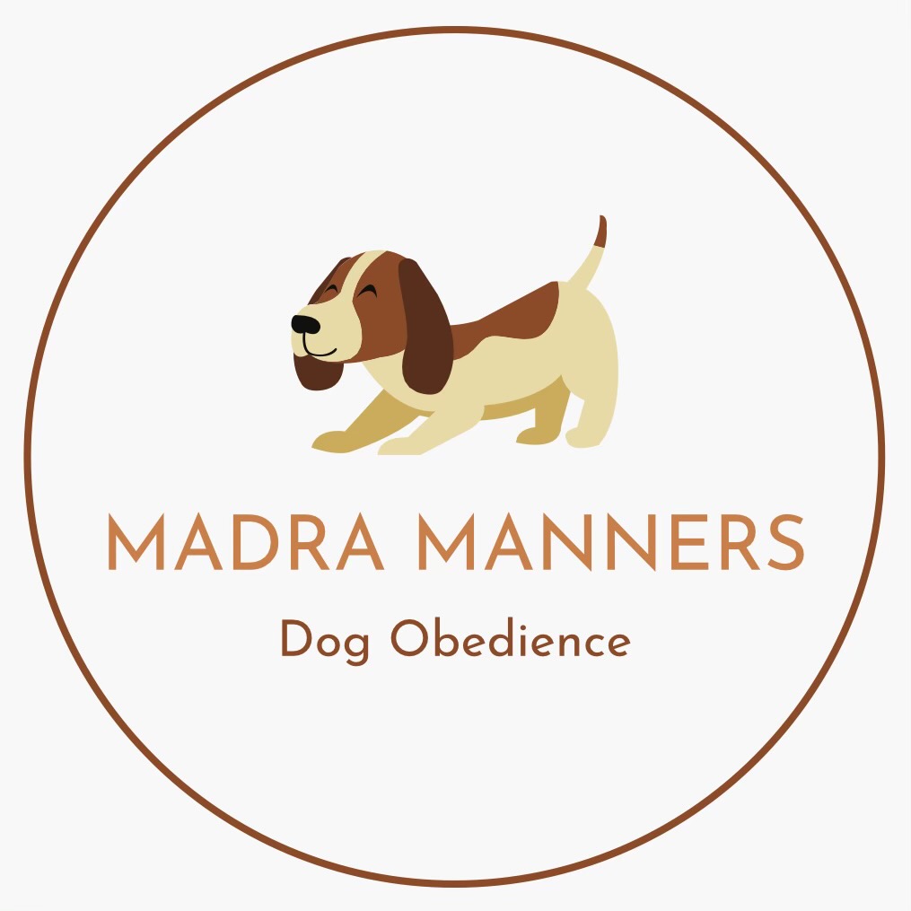 Basic Dog Obedience made simple – DCs Madra